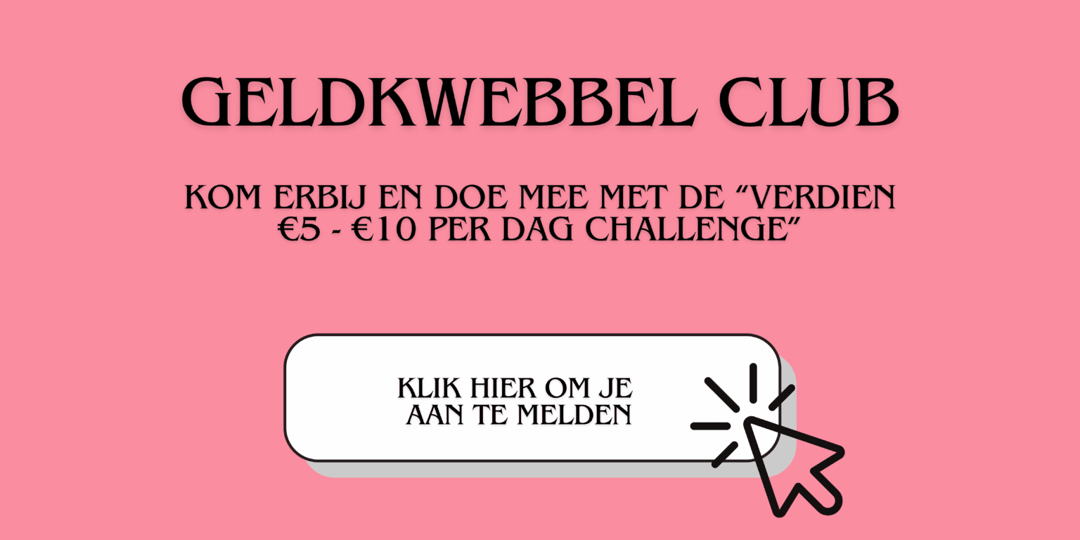 Wat is Vinted Pro en hoe werkt het? - Geldkwebbel